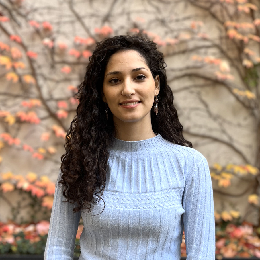 Über uns - Minor - Digital